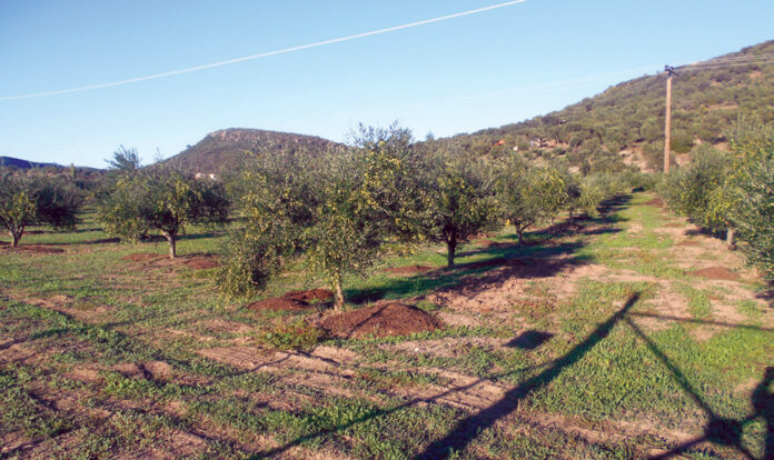 Έρχονται τα λεφτά της έκτακτης στρεμματικής για την ακαρπία