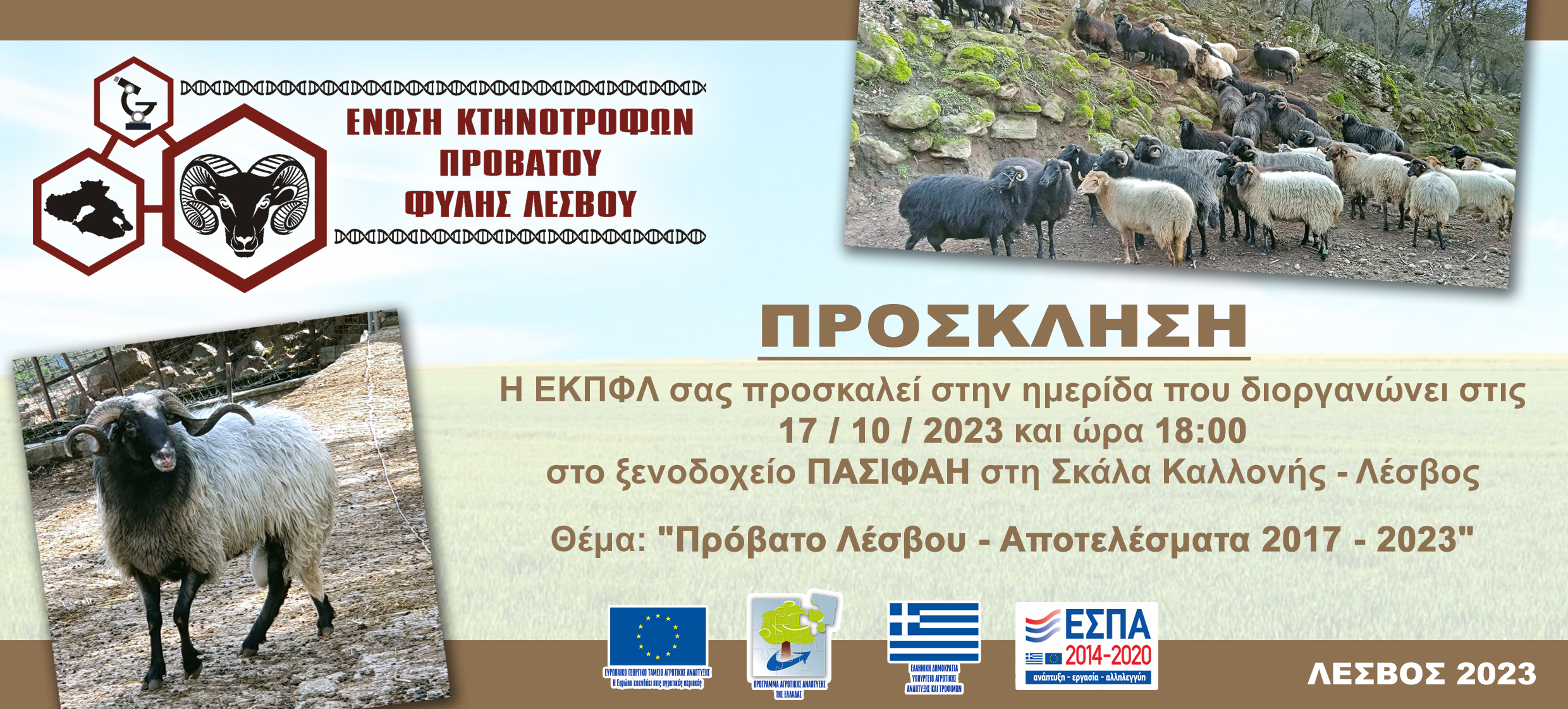 ΕΝΩΣΗ ΚΤΗΝΟΤΡΟΦΩΝ ΠΡΟΒΑΤΩΝ ΦΥΛΗΣ ΛΕΣΒΟΥ-prosklisi - Τα Νέα της Λέσβου