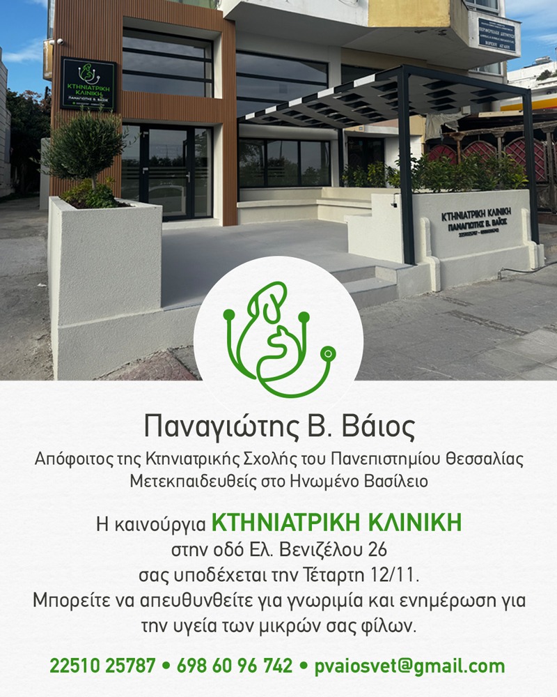 Η ΛΕΣΒΟΣ ΤΙΜΑ ΤΗΝ ΠΑΓΚΟΣΜΙΑ ΗΜΕΡΑ ΑΤΟΜΩΝ ΜΕ ΑΝΑΠΗΡΙΑ: "Μαζί χωρίς ...