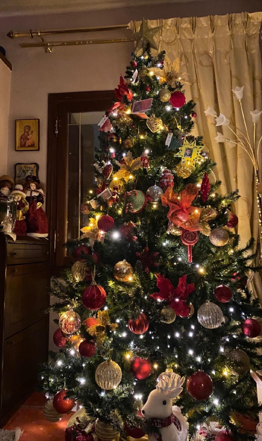 Τα χριστουγεννιάτικα δέντρα που στόλισαν οι κάτοικοι της πόλης - Τα Νέα ...